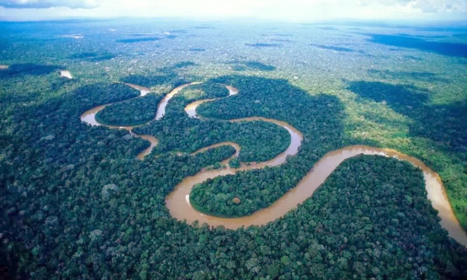 Animaleando: El Corazón del Amazonas Peruano.