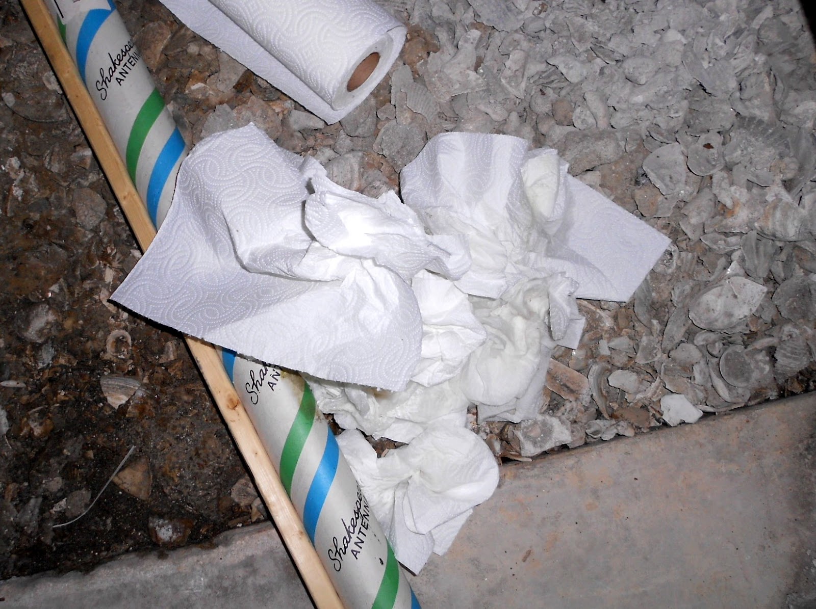 The Marine Installer's Rant: The imposter