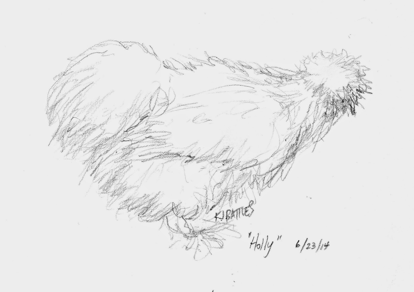 Chicken Scratch: Scratchin' and a Preenin'