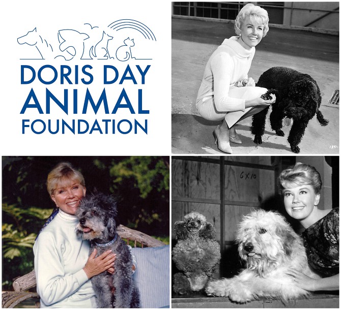 A Tribute To Doris Day: Your Light Will Shine On Forever [ Being Ron ]