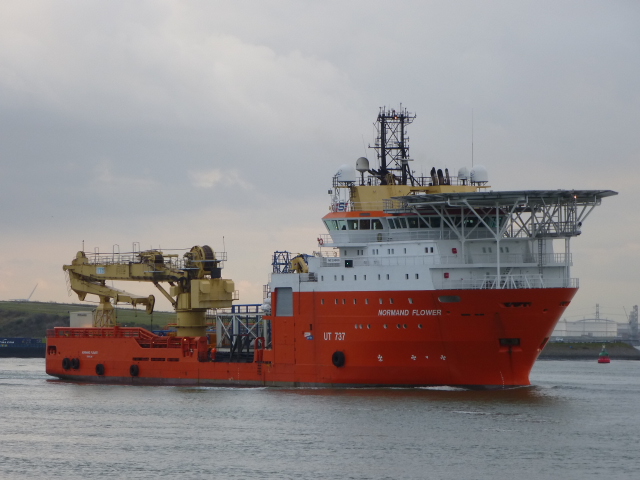 Scheepvaarthoek: Normand Flower