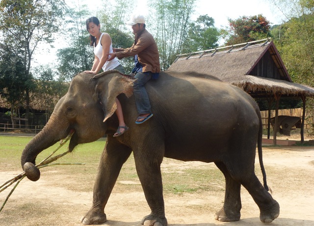 ACTIVETRAVEL ASIA's Blog