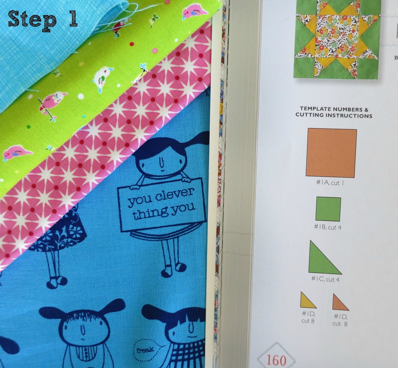 catandvee: Farmer's Wife Sew-Along - Addie - foundation paper piecing ...