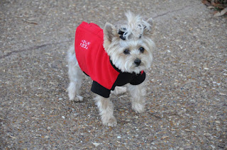 Fido Fleece Dog Coats. Best Selection Fido Fleece, Quick Ship!