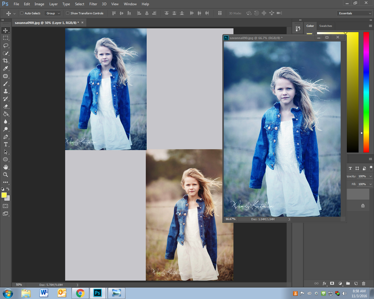 White Balance Assignment - CVHS Photography