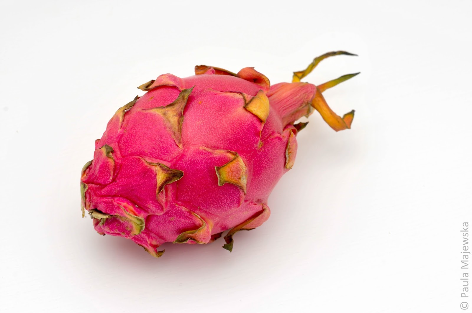 Z pestki: Pitaja (czerwona)