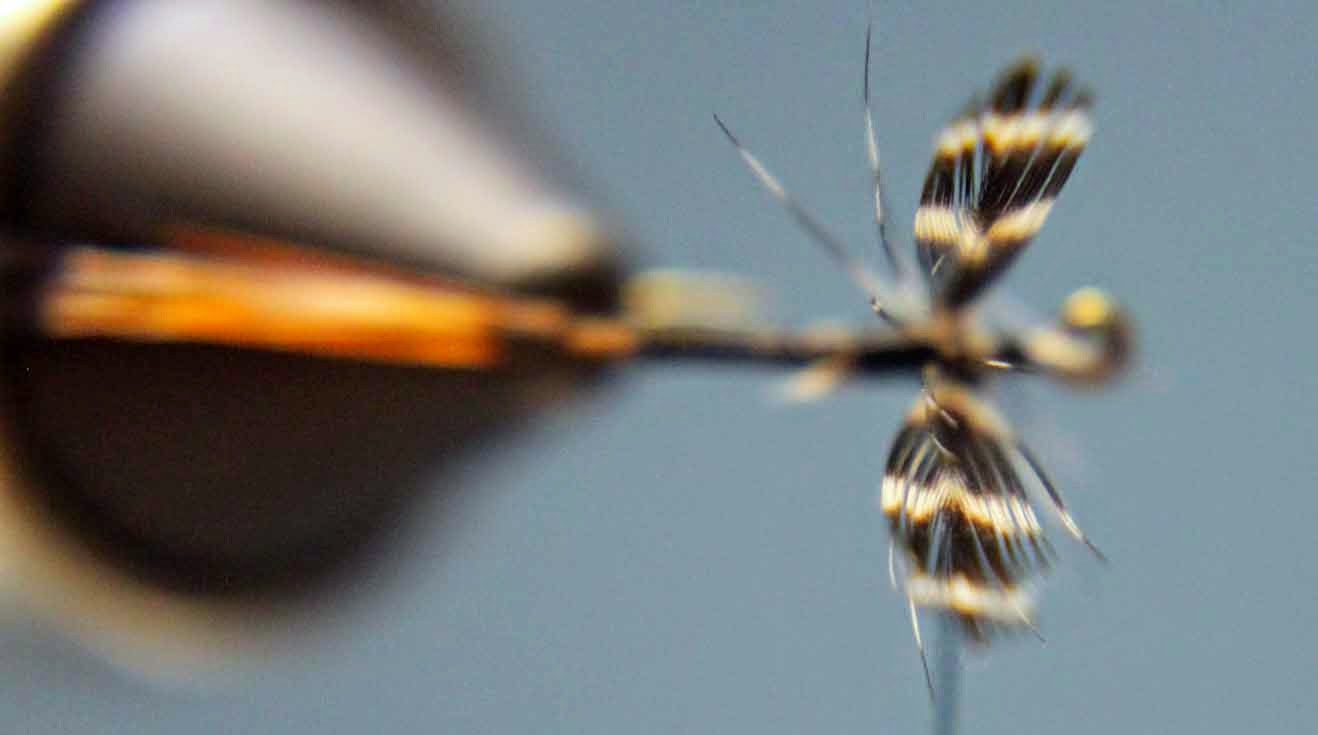 Fishbait's Fly Box: The Traditional Adams