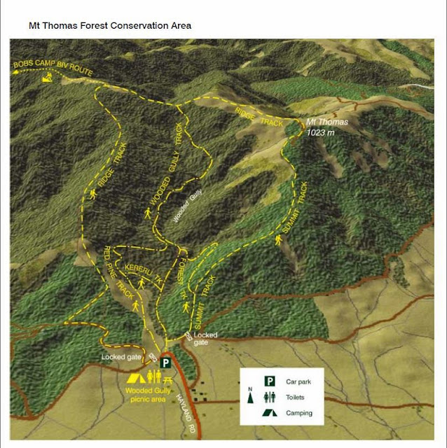 Tramping in the New Zealand backcountry: NZ Bush Adventures: Mt Thomas ...