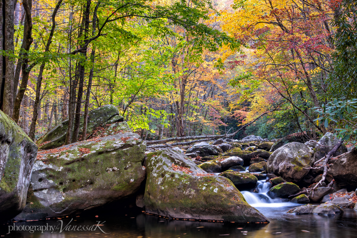 VanessaK: Day 5 Fall in Tennessee