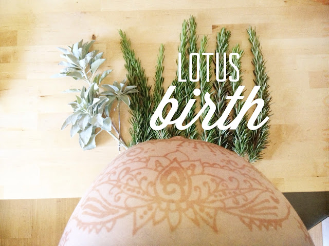 Home In The Hive: Lotus Birth