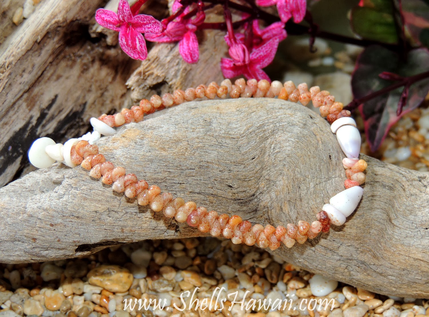 Kahelelani & Sunrise shell jewelry by.... Janjira: Kahelelani shell ...