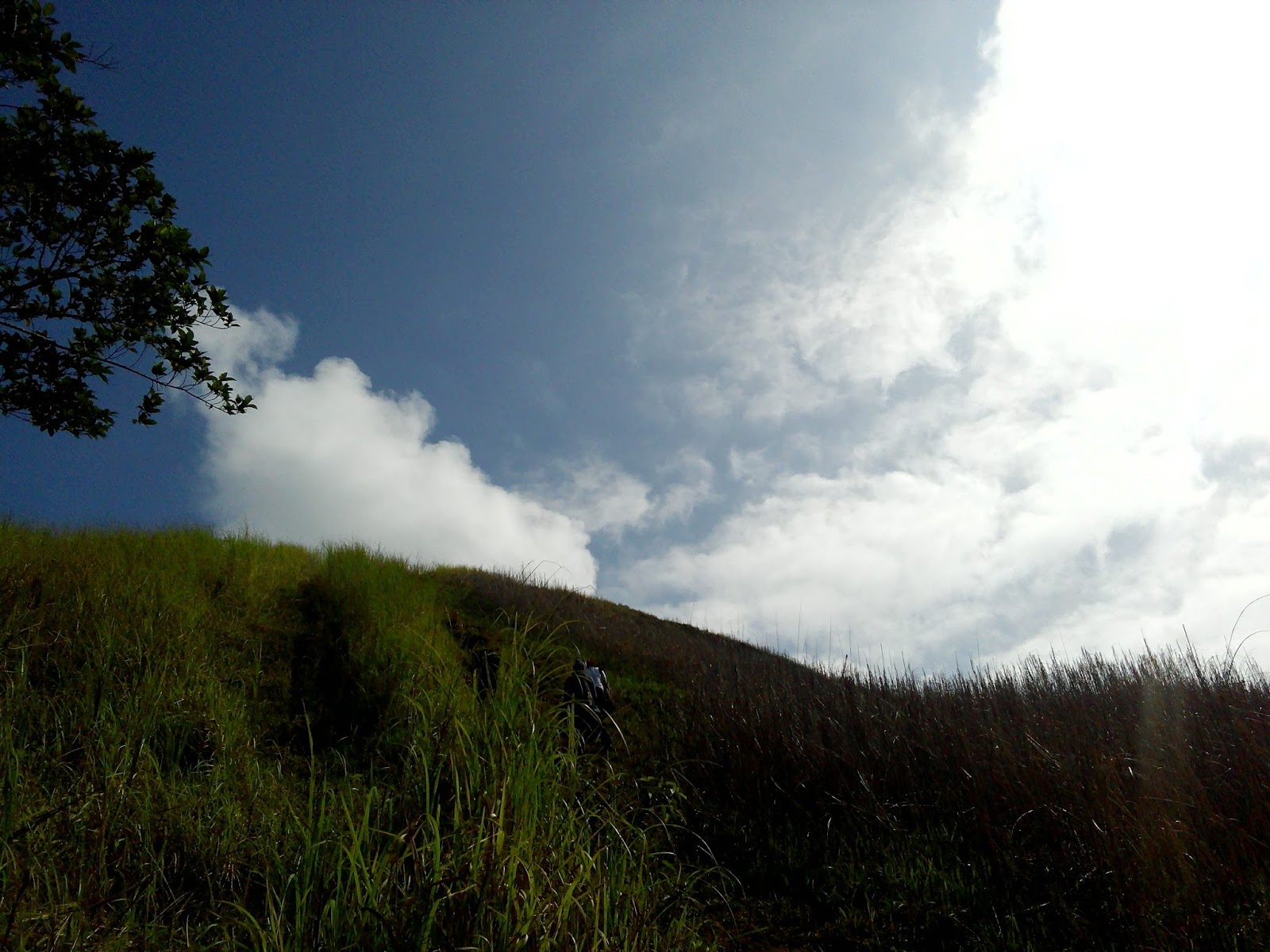 Mt. Sembrano (Day Hike) - Dose of Sunshine