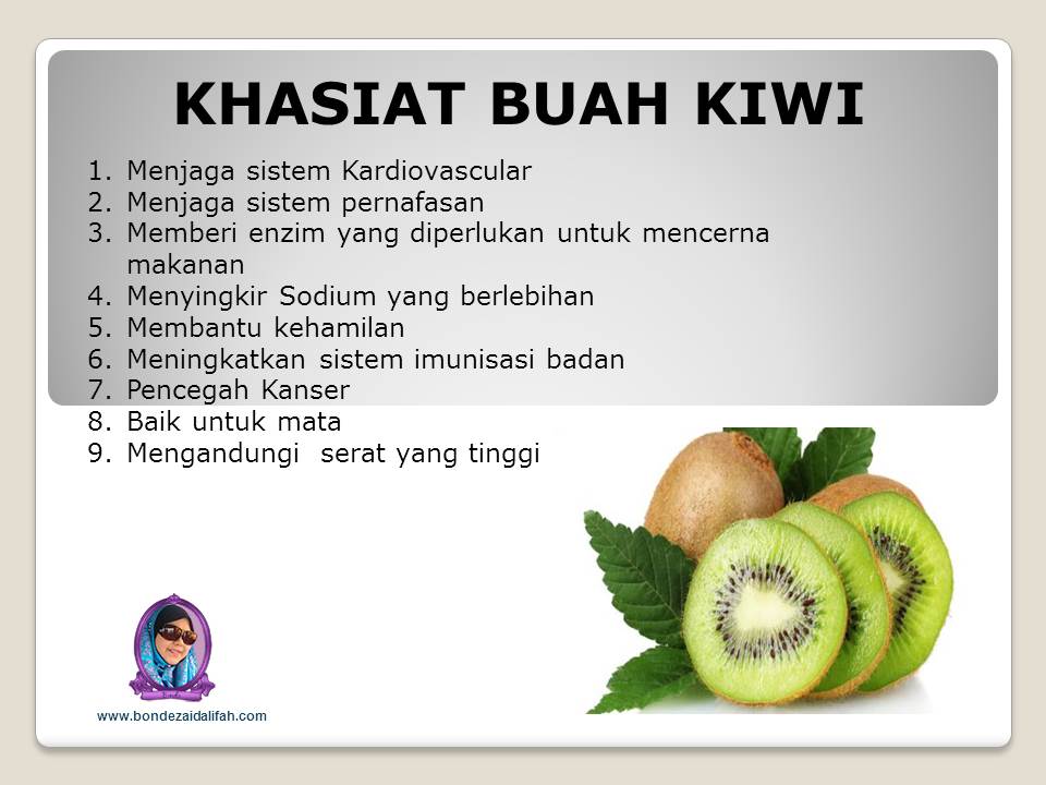 KENALI 6 BUAH-BUAHAN YANG KAYA DENGAN KHASIAT