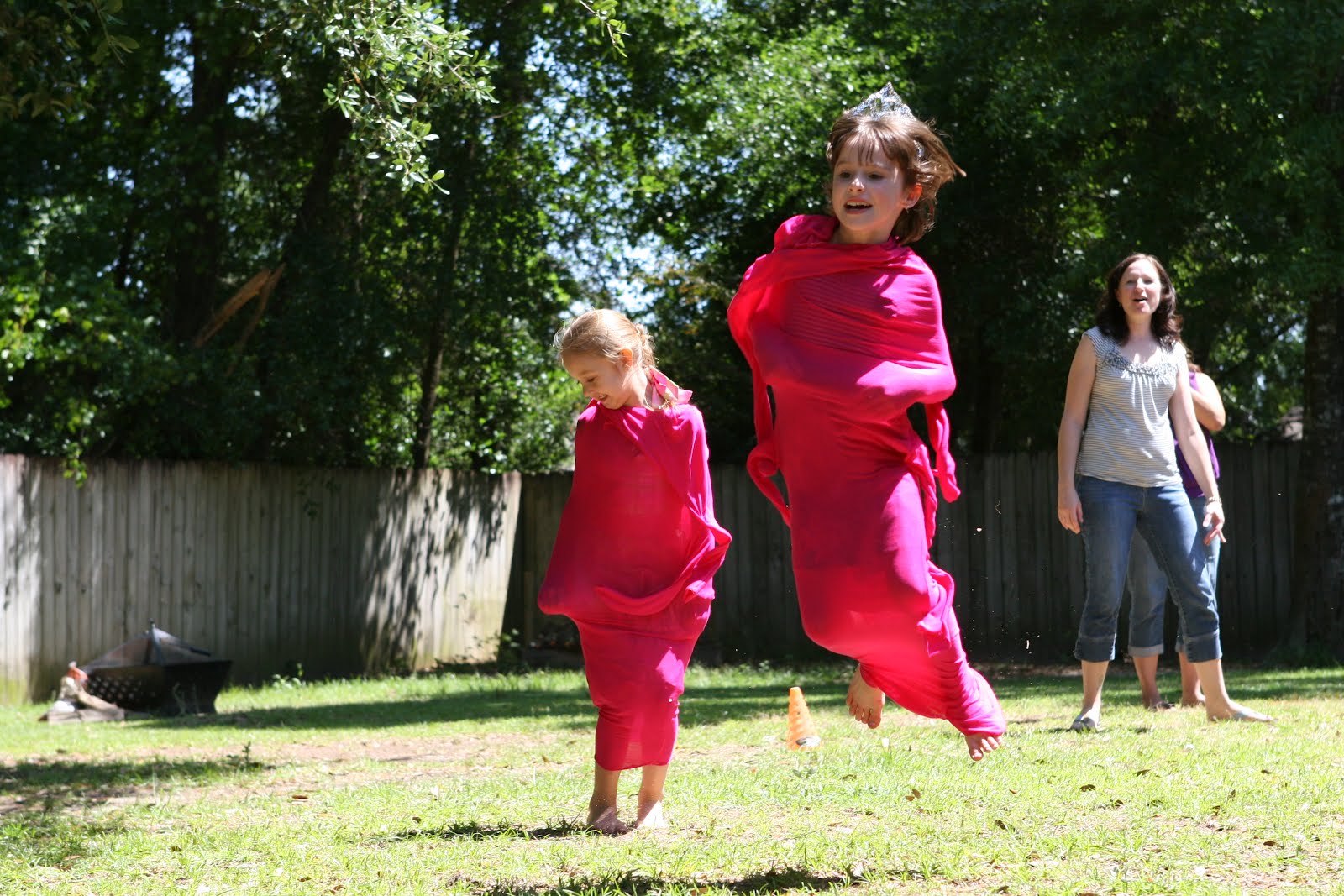 Visions of Sugar Plums: A Thneed's a Fine Something that Everyone Needs