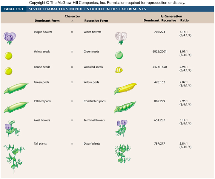 Knowledge Class: Mendel's Seven Pairs of Contrasting Traits in Garden Peas