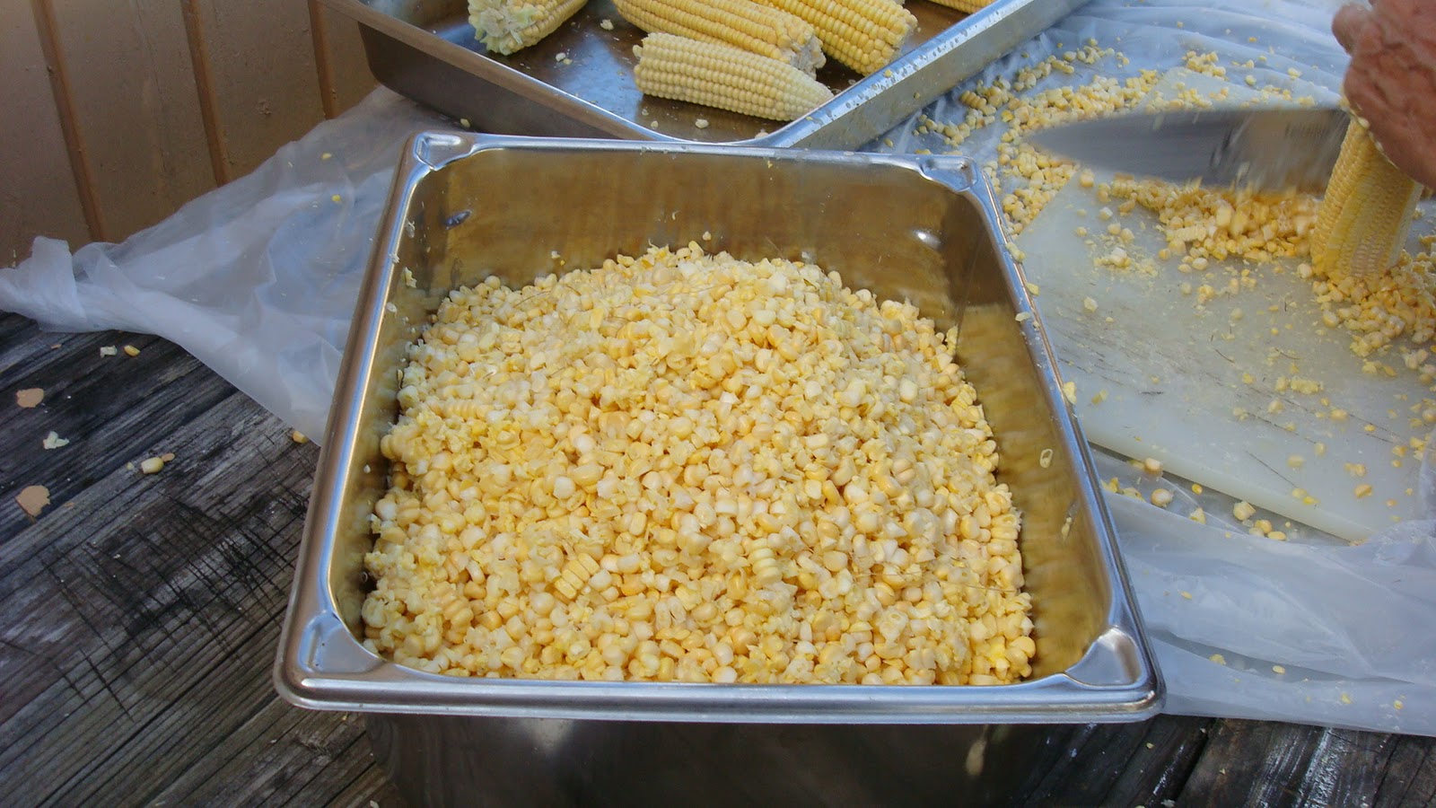 VILLA GRANADILLO: LA AYACA Y ORIGEN INDIGENA DE CUBA.