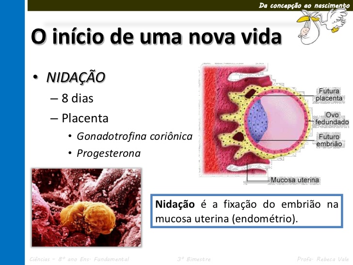 Tudo Sobre NidaÇÃo