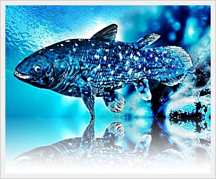 The Coelacanth Facts - Ask My Brain - Get More Knowlege