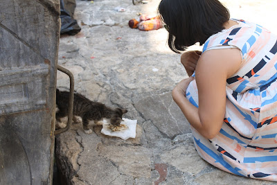 Emi and Kyle Heart Food: Beautiful and Boozy Kotor, Montenegro
