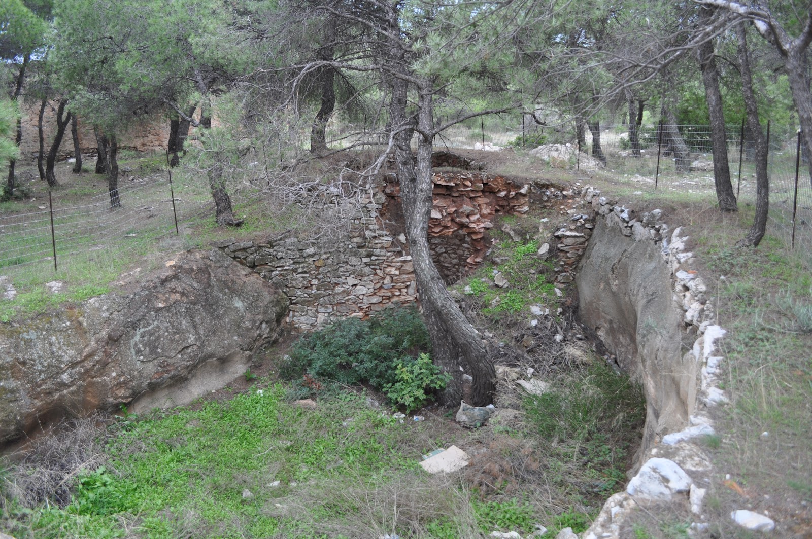 EPIGHS: ΕΘΝΙΚΟΣ ΔΡΥΜΟΣ ΣΟΥΝΙΟΥ