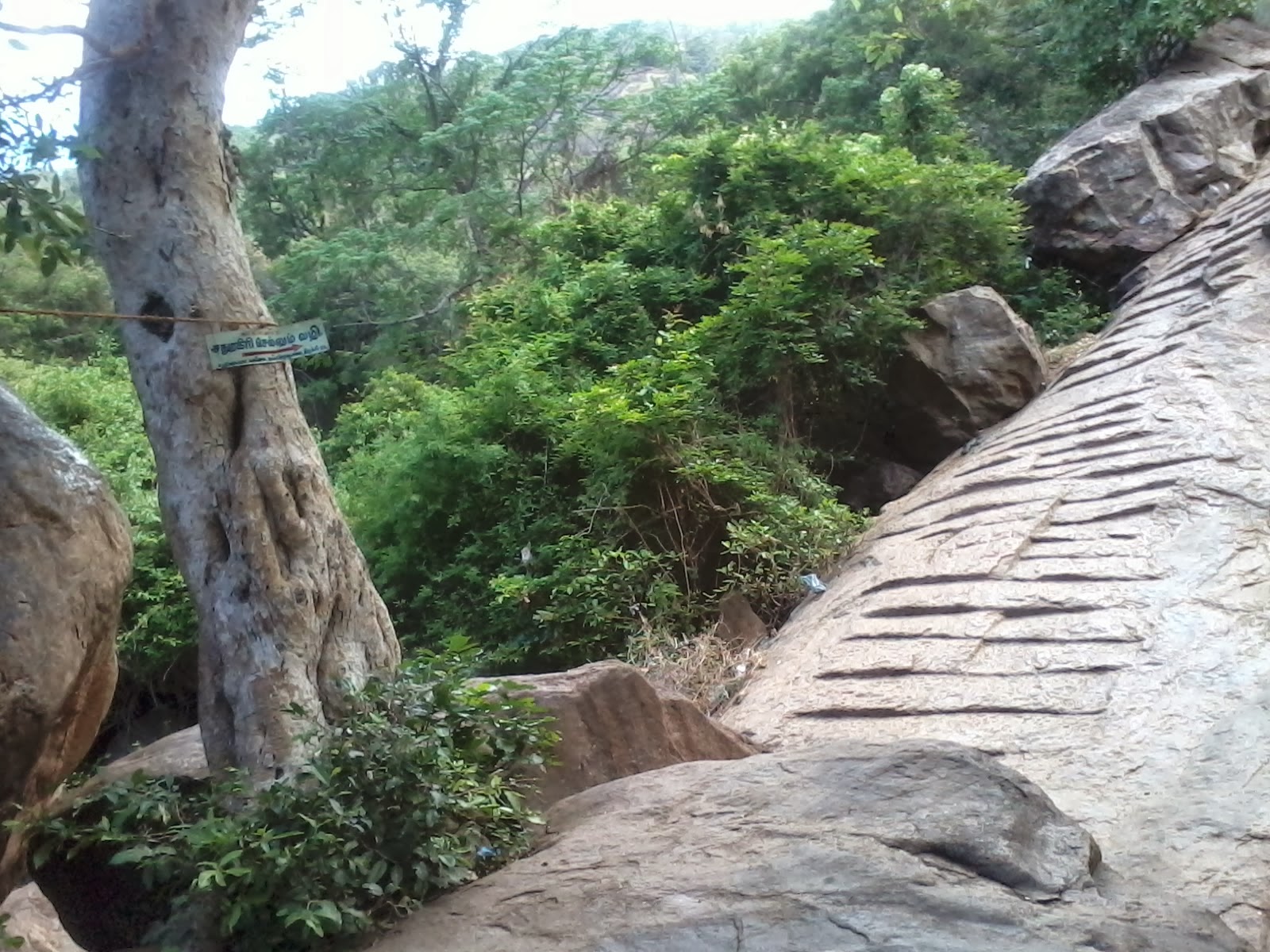 Tamilnadu Tourism: Sathuragiri Hills – Temples