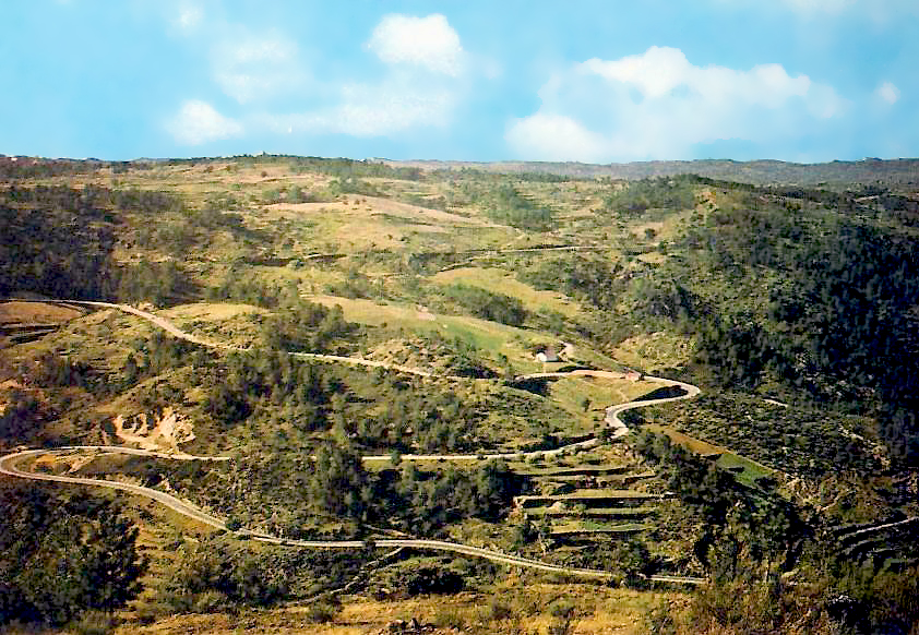 Retratos de Portugal: Murça - Curvas de Murça