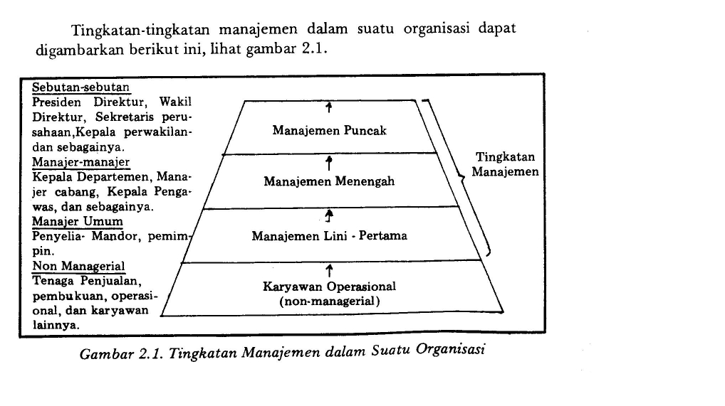 TINGKATAN MANAJEMEN | Akademi Gadungan | Belajar dari Kesalahan