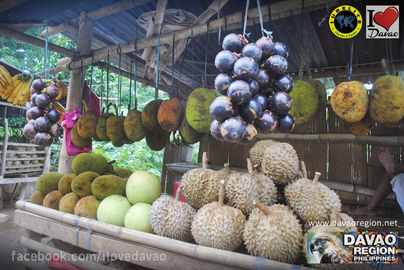Fresh Fruits from Davao Region - Davao Region Philippines Southern Mindanao