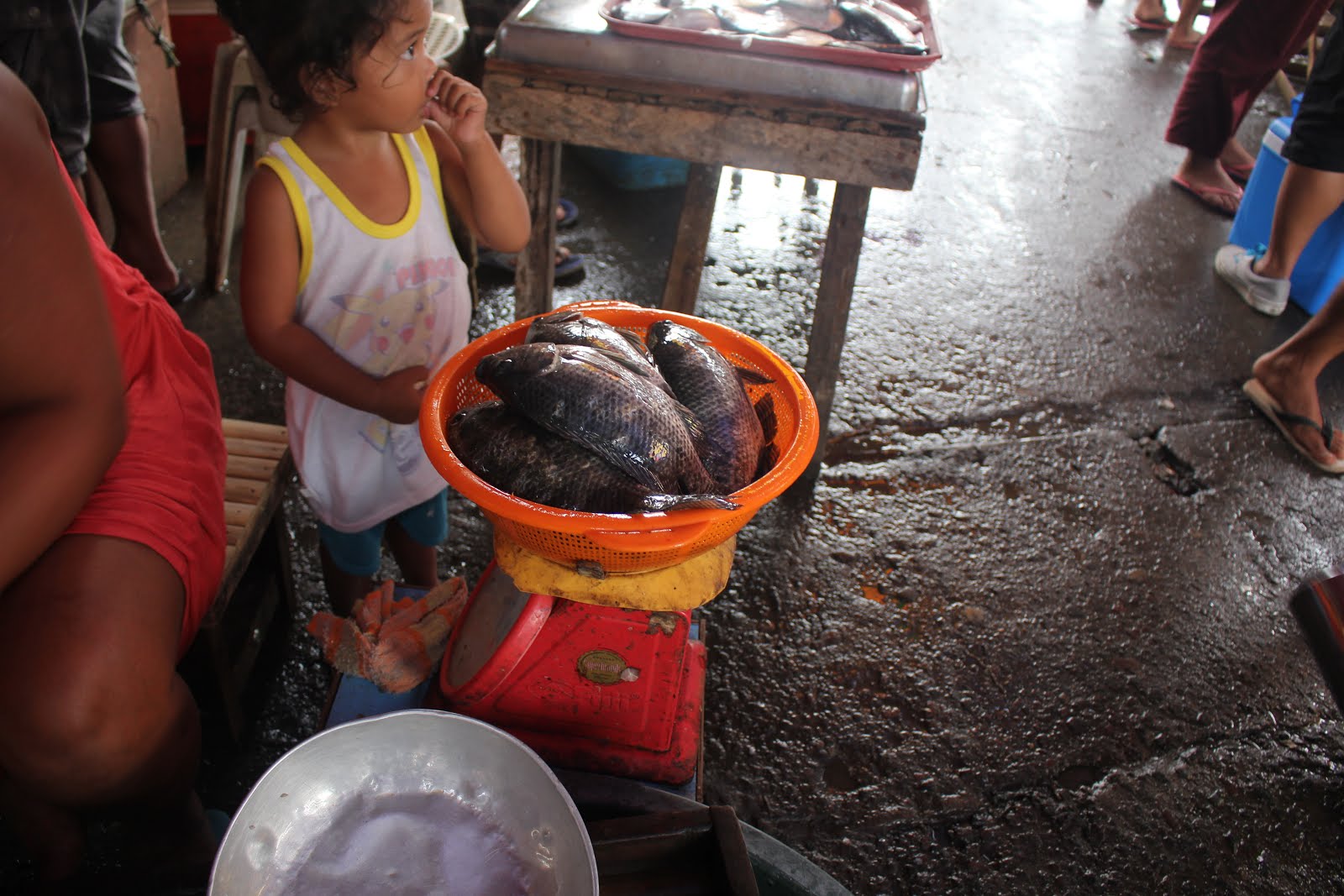 Stay, Stray, Play and Feast: Buhi Wet Market: Tilapia, Tabios and Rock ...