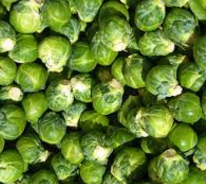 Anim Agro Technology: JENIS-JENIS KOBIS (Part 3)