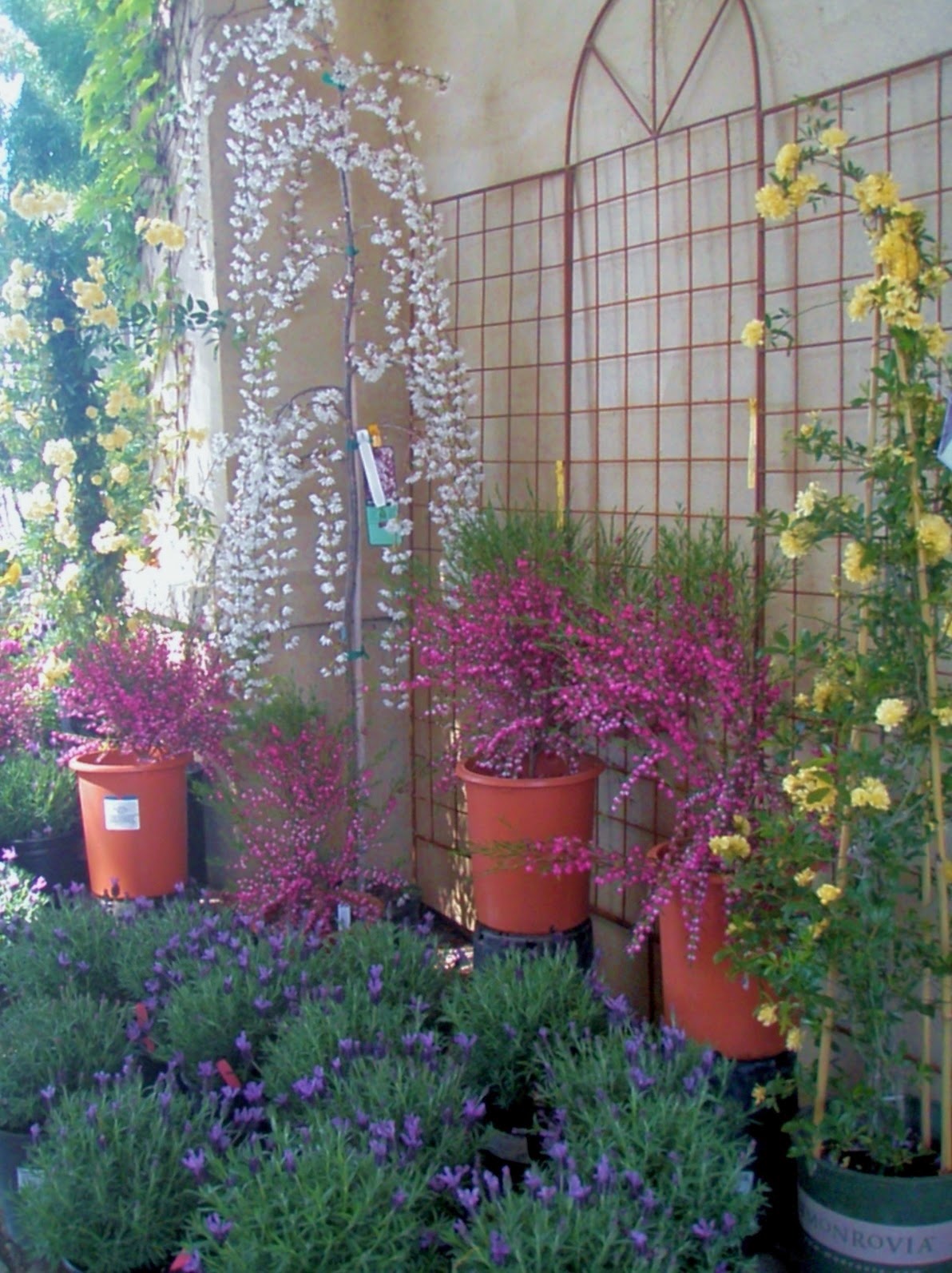 Cabin & Cottage : Happy Spring at Alden Lane