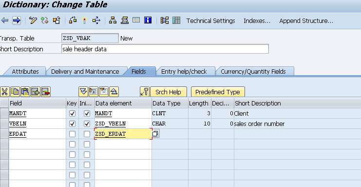 SAP TECH: Creating Transparent Master Table