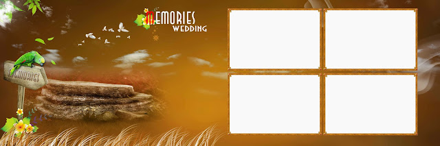 37 New 12x36 karishma album backgrounds and frames, photos frames ...