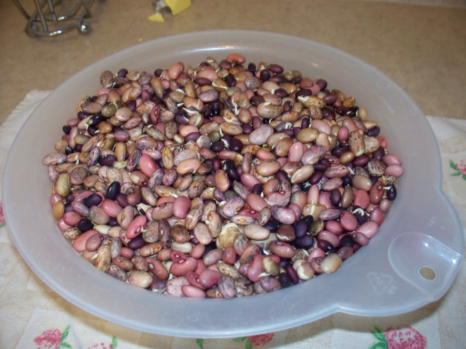 Camille's Casa: Making Beans Your Family Will Eat