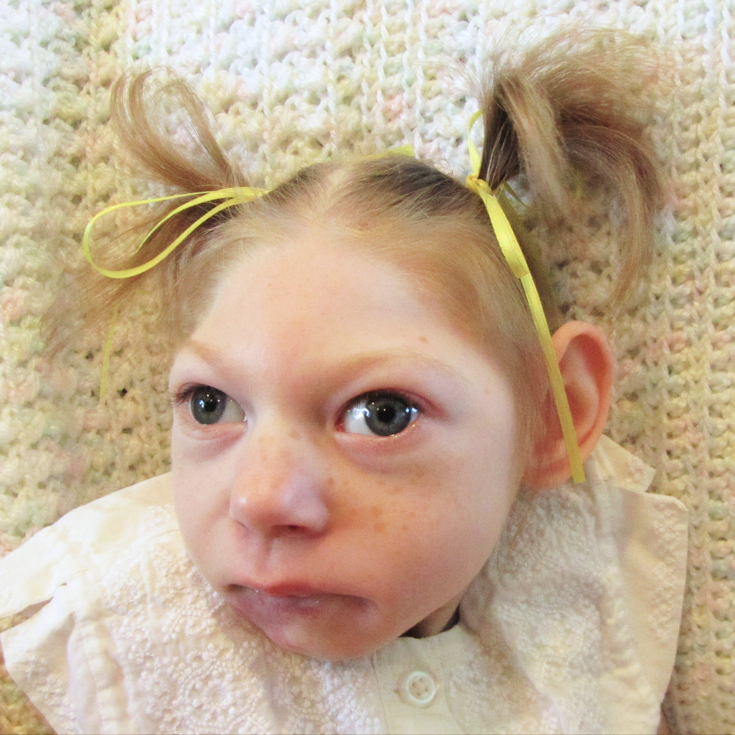 The Hartley Hooligans: Yellow