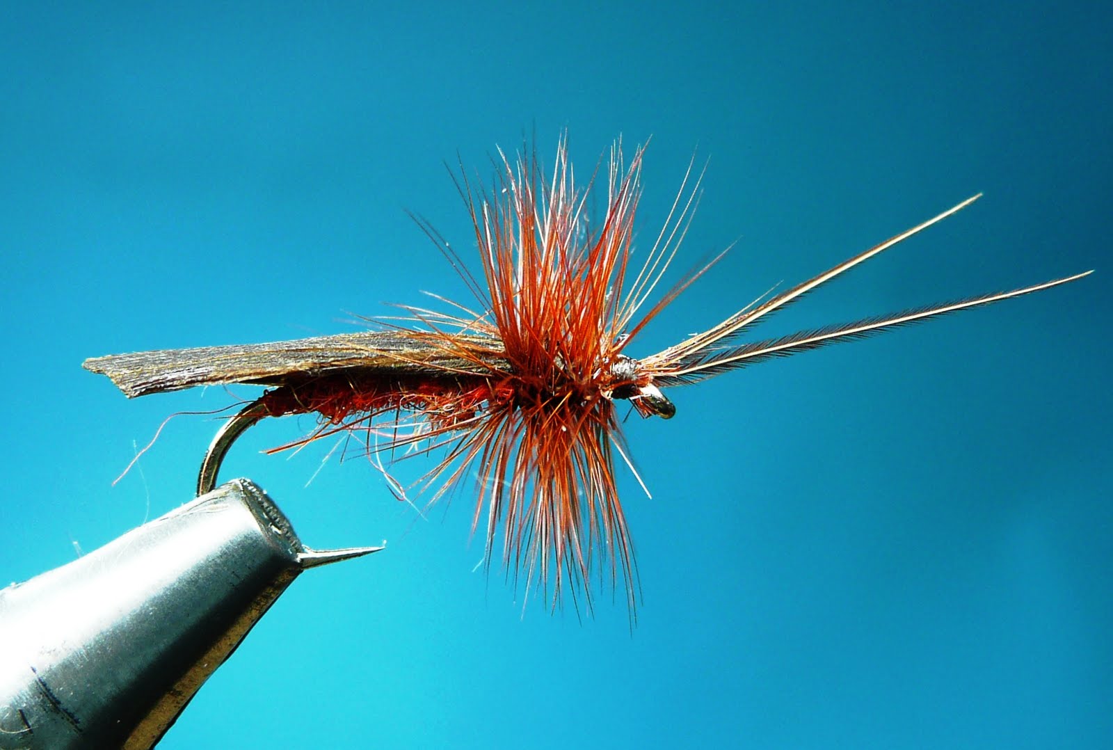 A FLY TYING JOURNAL: Sedges and new wings