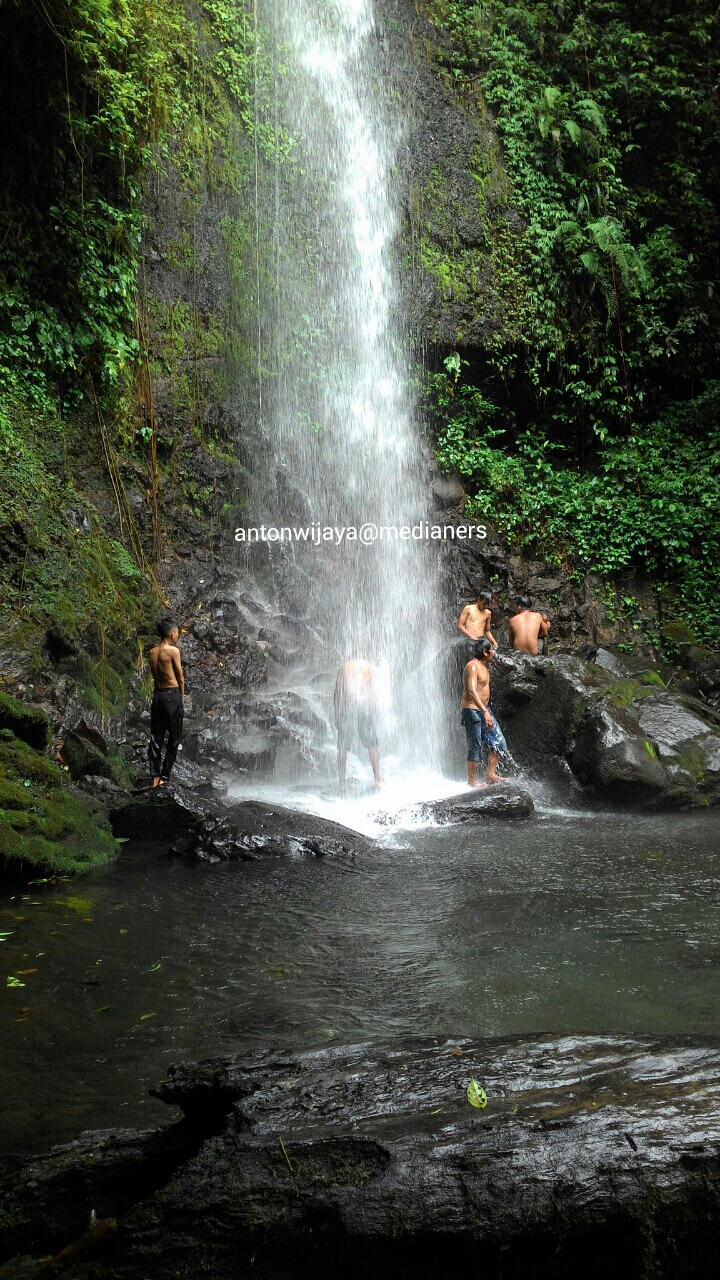 Keindahan dan Tantangan Air Terjun Batu Basurek Ladang Rimbo, Sungai ...