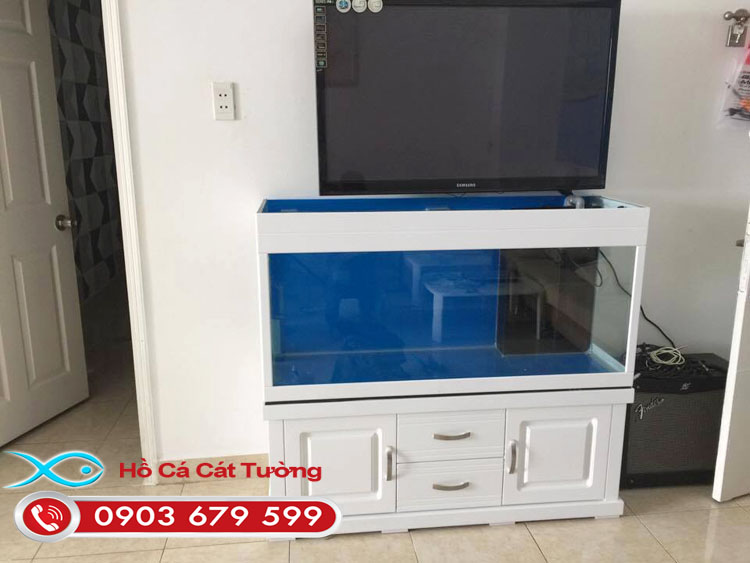 Hướng dẫn thiết kế hồ cá rồng trong nhà theo phong thủy - Hồ tủy sinh