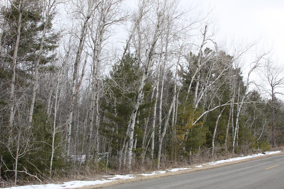 Michigan Exposures: Alabaster, MI