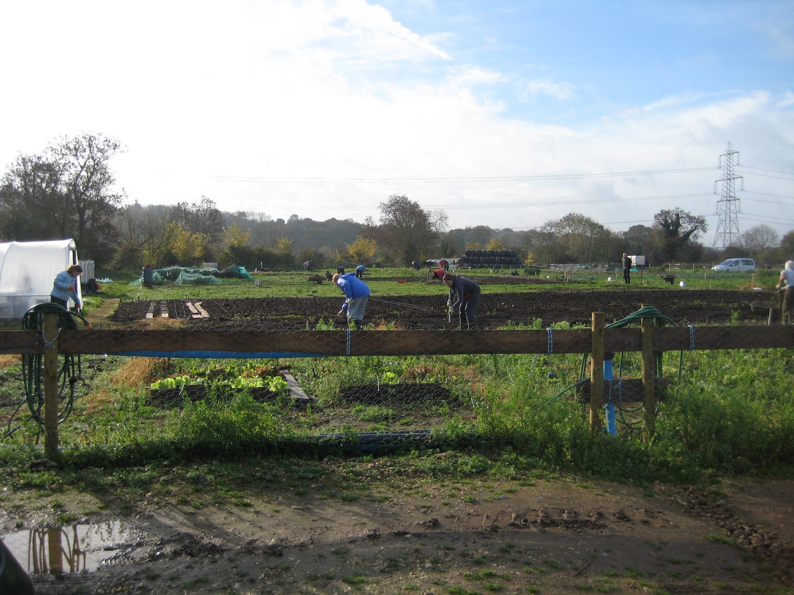 Community Farms: Where our community farm is situated