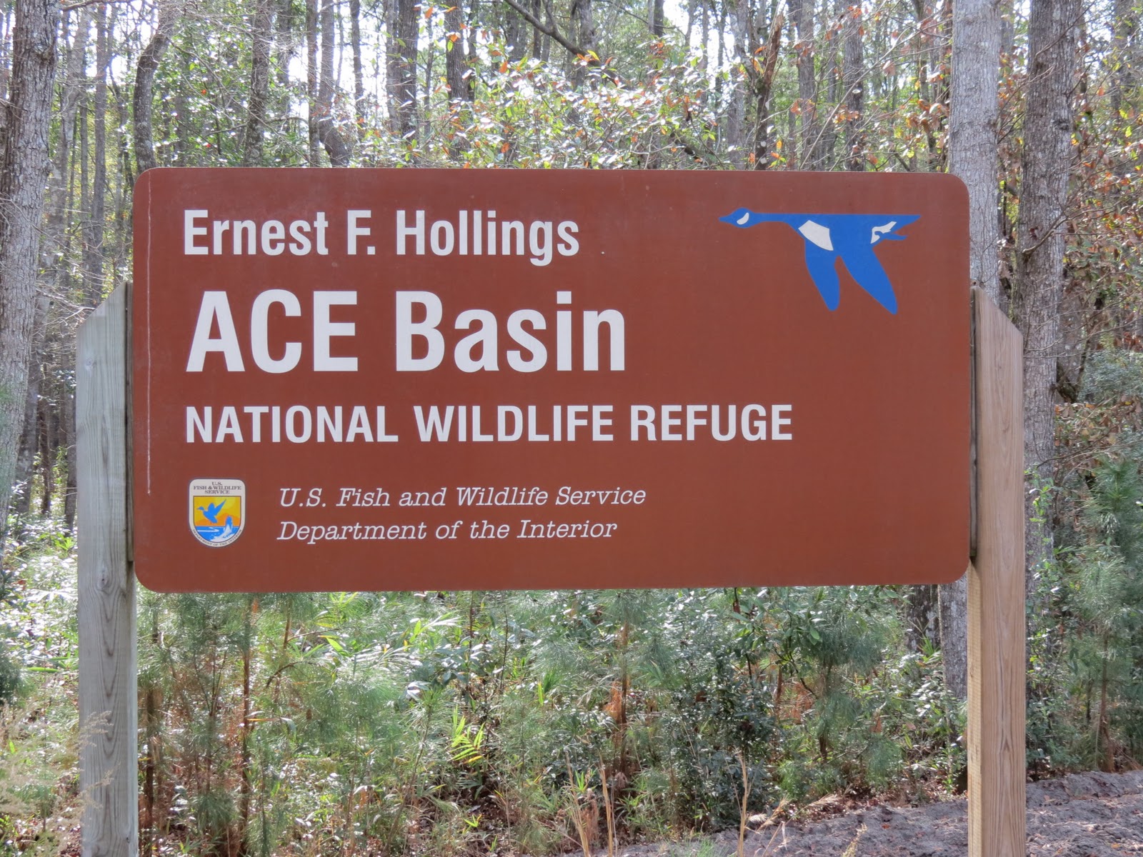 BirdsEyeViews: Ernest F. Hollings ACE Basin National Wildlife Refuge