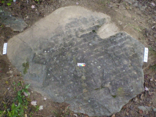 Rock Piles: Track Rock Gap Petroglyph Site