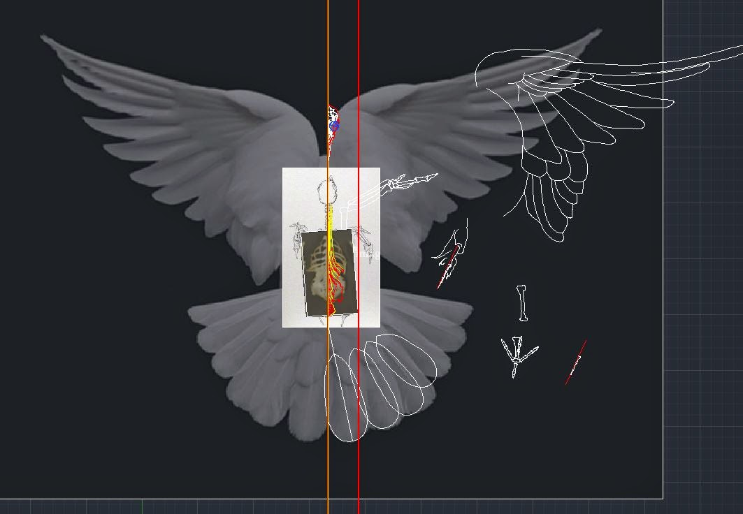 The Renaissance Engineer: Crimson Dove: Anatomy Art Project: Part 1