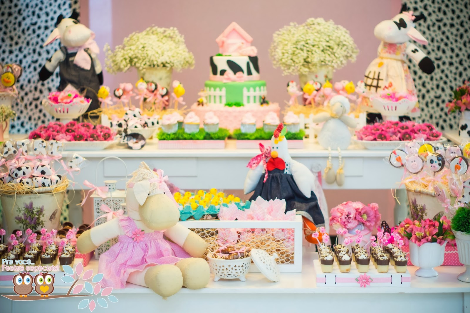 Pra você festas especiais: Fazendinha Rosa