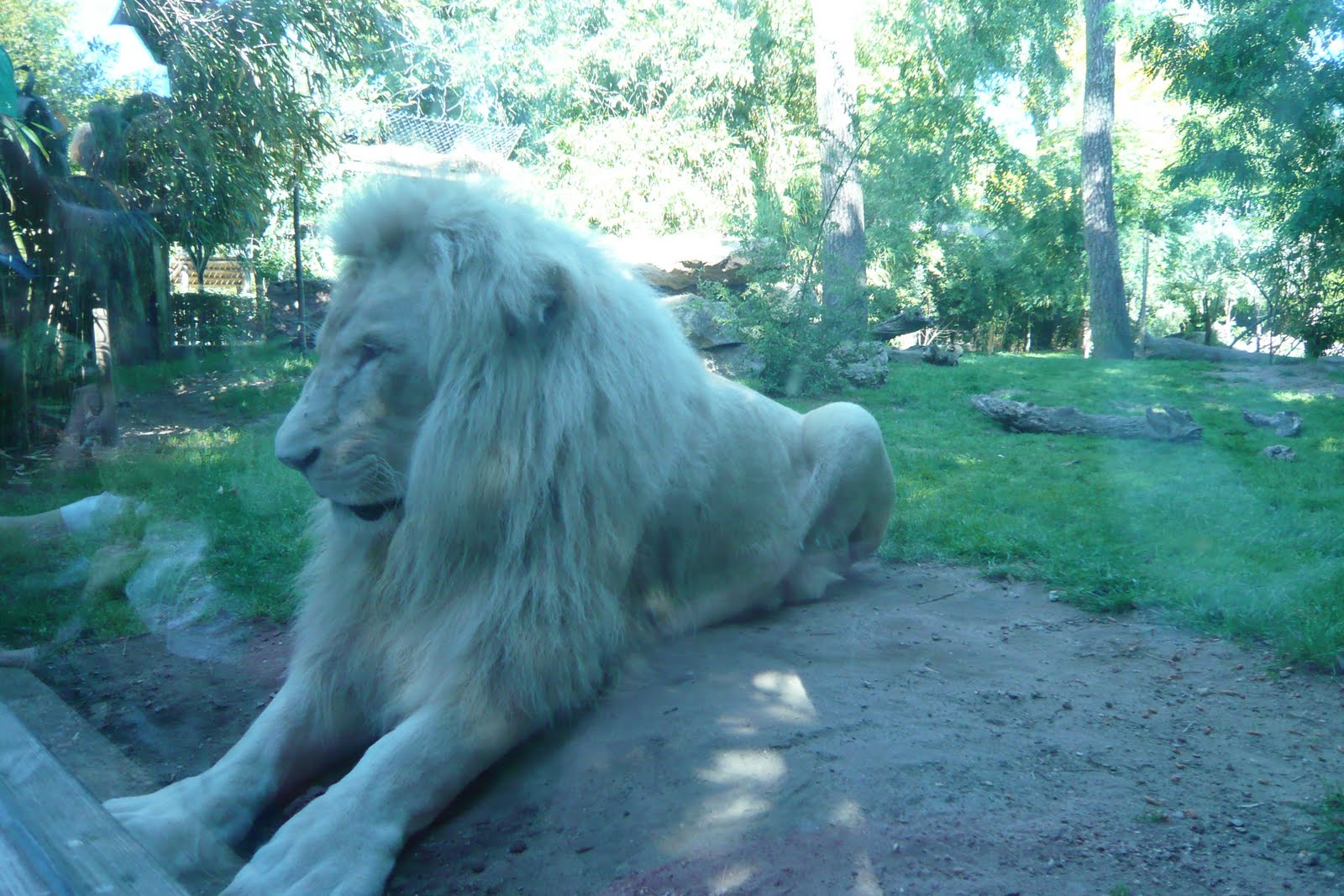 MamoMans: Le Zoo de la Flèche