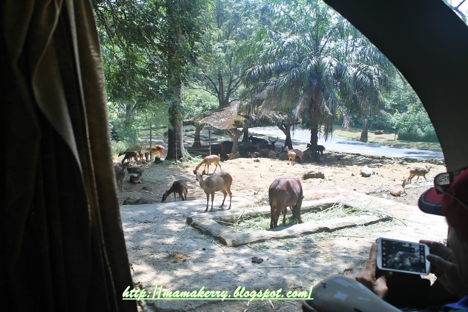 Sweetmama: Family Trip Holiday Jakarta Bandung 2013 | Day 1 ~ Melawat ...