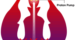 7 - Deprescrizione degli inibitori di pompa protonica