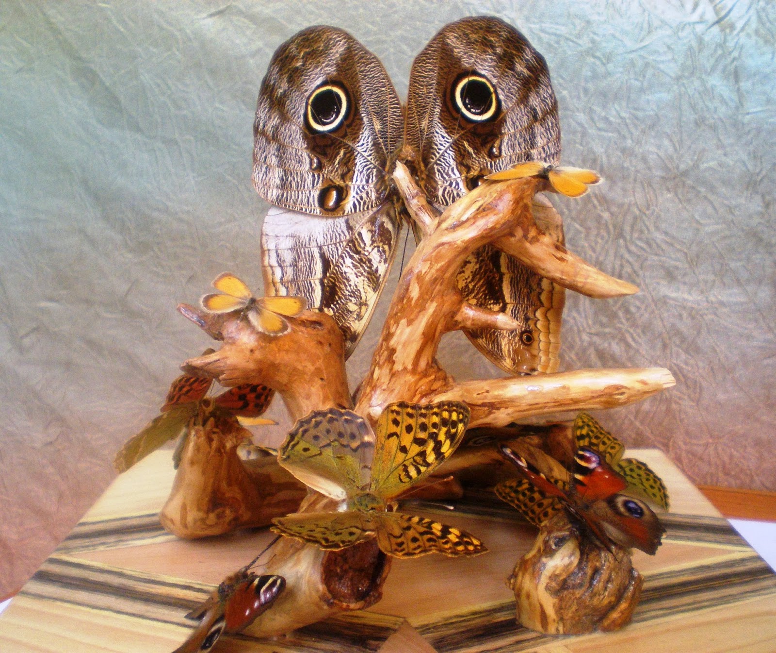 Fluturi Inramati : O lucrare plina de simbolistica : sub forma ...