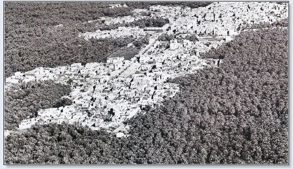 Arabian Anthropology: Qatif's Heritage & Environment in the Last 50 ...