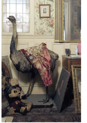 The Reading Frenzy: Interview with author Michelle Gable - A Paris ...